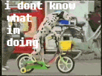 Act GIFs - Get the best gif on GIFER