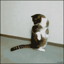Roling GIFs - Get the best gif on GIFER