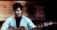 Clambakesongs GIFs - Get the best gif on GIFER