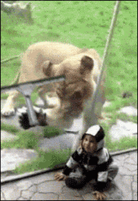 Lem GIFs - Get the best gif on GIFER