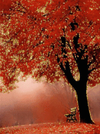 The tree of life GIF - Conseguir o melhor gif em GIFER