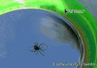 Dramatic tension GIFs - Get the best gif on GIFER