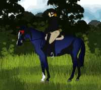 Equitation GIFs - Get the best gif on GIFER