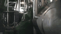 Steaming GIFs - Get the best gif on GIFER