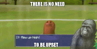 Diglett GIFs - Get the best gif on GIFER