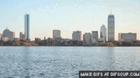 Boston GIFs - Get the best gif on GIFER