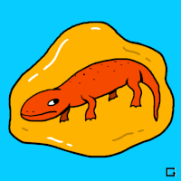 Fossils GIFs - Get the best gif on GIFER