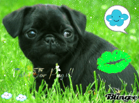 Mop GIFs - Get the best gif on GIFER