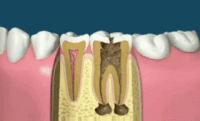 Dentists GIFs - Get the best gif on GIFER