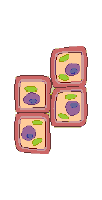 Tissues GIFs - Get the best gif on GIFER