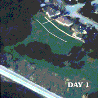 Displacement GIFs - Get the best gif on GIFER