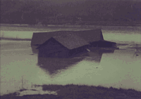 Flooding GIFs - Get the best gif on GIFER