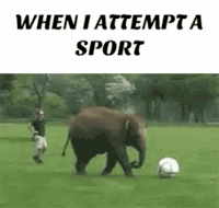Clumsy GIFs - Get the best gif on GIFER
