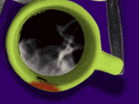 Soul food GIFs - Get the best gif on GIFER