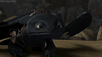 Toothless GIFs - Get the best gif on GIFER