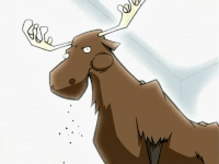 Moose GIFs - Get the best gif on GIFER