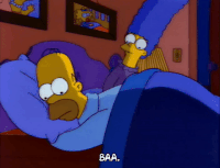 Its literally lit GIFs - Get the best gif on GIFER