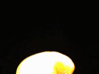 Balloons GIFs - Get the best gif on GIFER