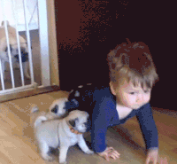 Bonding GIFs - Get the best gif on GIFER