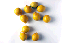 Lemon GIFs - Get the best gif on GIFER
