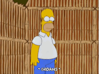 Groans GIFs - Get the best gif on GIFER
