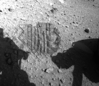 Curiosity GIFs - Get the best gif on GIFER