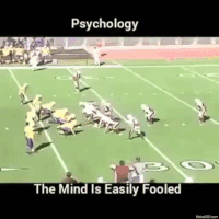 Psychology GIFs - Get the best gif on GIFER