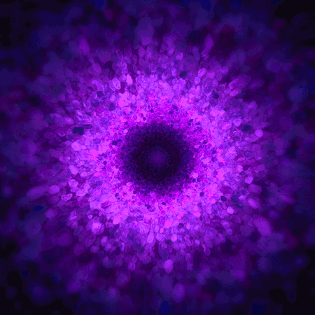 Violet GIFs - Get the best gif on GIFER