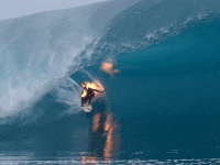 Surfing GIFs - Get the best gif on GIFER