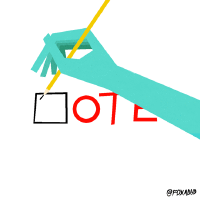 Voting GIFs - Get the best gif on GIFER