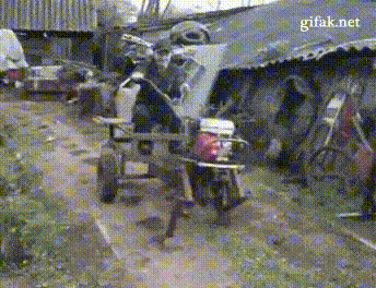 Dinamico GIF - Conseguir o melhor gif em GIFER