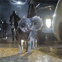 Ffxv GIFs - Get the best gif on GIFER