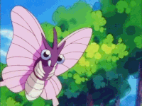 Butterfree GIFs - Get the best gif on GIFER