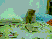 Wizardry GIFs - Get the best gif on GIFER