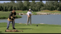 Golfers GIFs - Get the best gif on GIFER