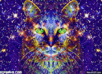 Flashy GIFs - Get the best gif on GIFER