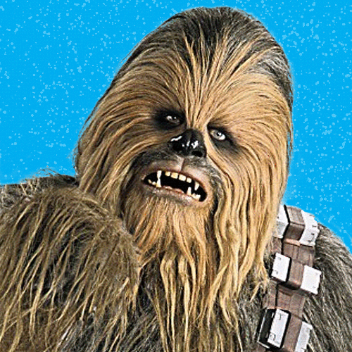 Chewy GIFs - Get the best gif on GIFER
