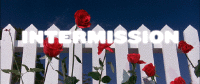 Intermission GIFs - Get the best gif on GIFER