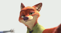 Zootopia GIFs - Get the best gif on GIFER