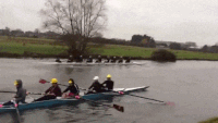 Rowing GIFs - Get the best gif on GIFER