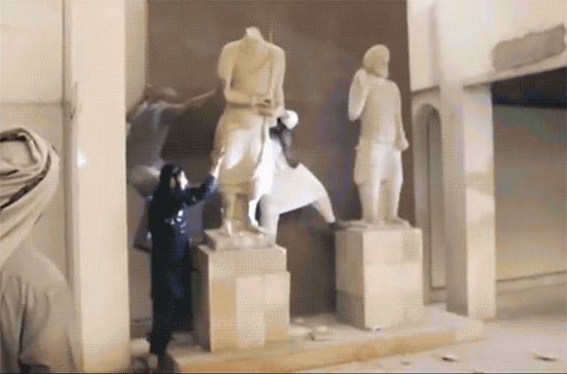 Dead dove do not eat GIF - Conseguir o melhor gif em GIFER