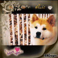 Hustlin GIFs - Get the best gif on GIFER