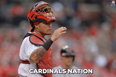 Stlouis GIFs - Get the best gif on GIFER