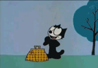 Felix GIFs - Get the best gif on GIFER