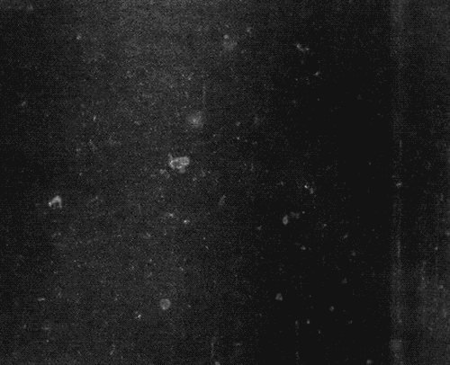 Film grain гифки, анимированные GIF изображения film grain - скачать ...