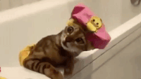 Spa GIFs - Get the best gif on GIFER
