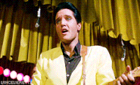 1964 GIFs - Get the best gif on GIFER