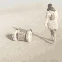 Chimpanzee Riding On A Segway Gif