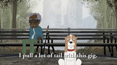 Wayfinding GIFs - Get the best gif on GIFER