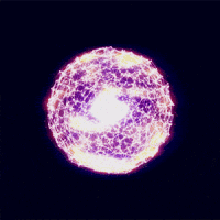 Plexus GIFs - Get the best gif on GIFER